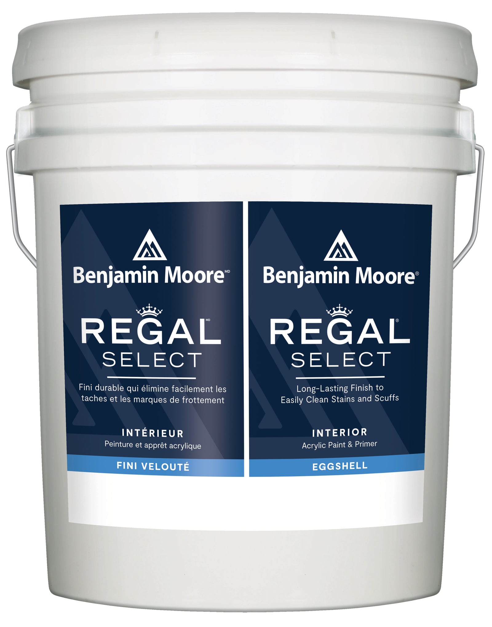 Benjamin Moore Regal Select Interior Paint Pro Glo Paints